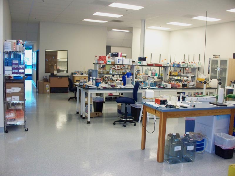 Innovative Tenant Improvement Medical, Dental, and Labratory Build-outs